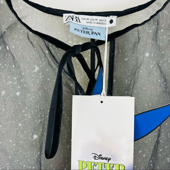 Zara | Tops | Zara Disneys Peter Pan Sheer Tunic | Poshmark